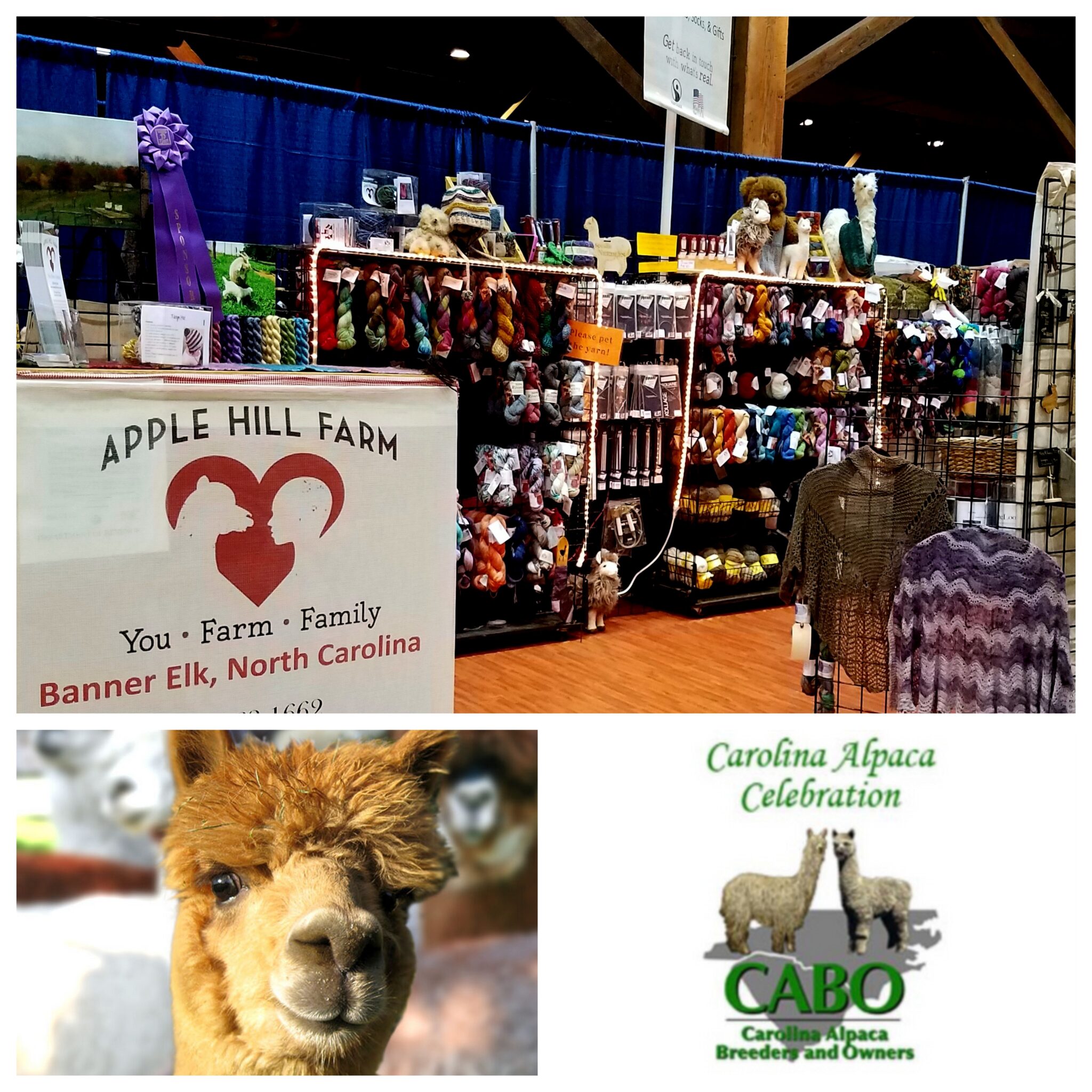 Events - Apple Hill Farm - Banner Elk, NC