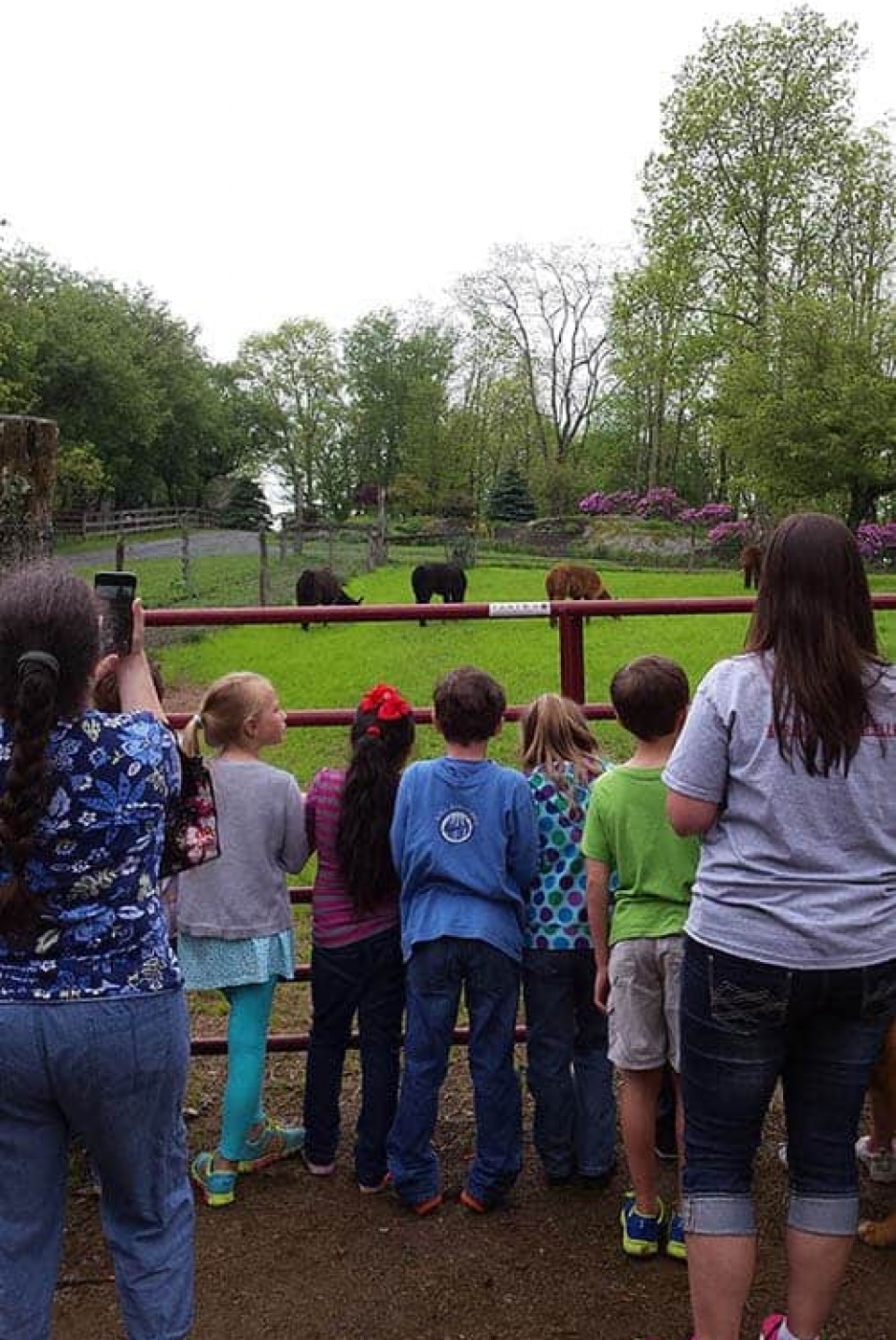 Contact Us – Apple Hill Farm NC